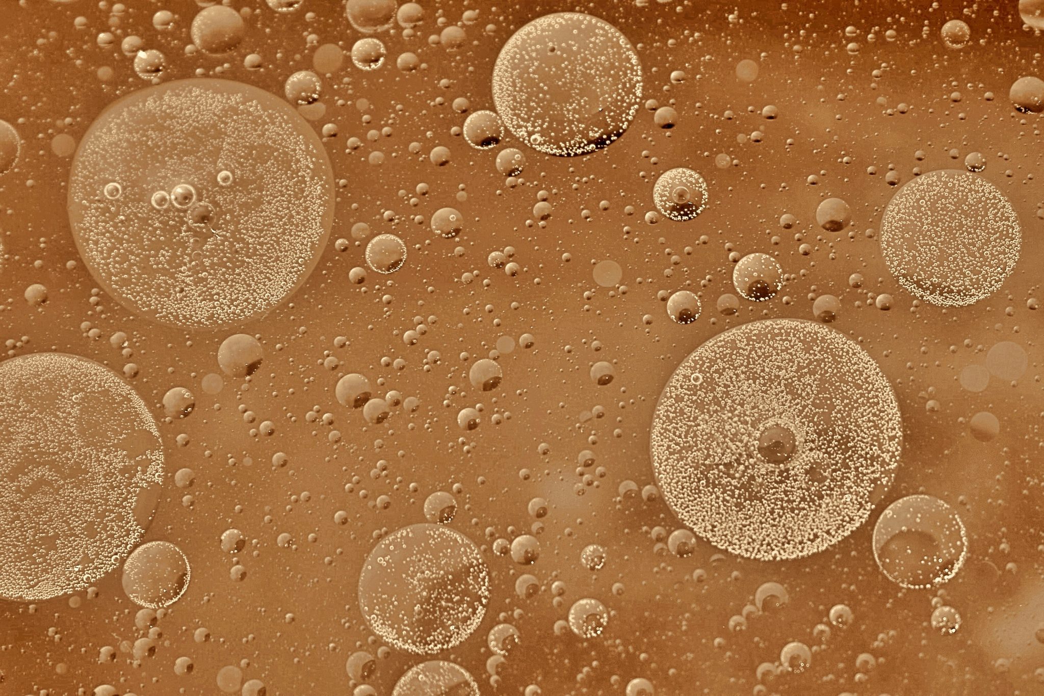 What is sebum (skin oil) - SKINOLAB